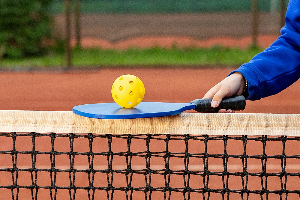 Understanding the Dynamics of a Pickleball Ladder League - P